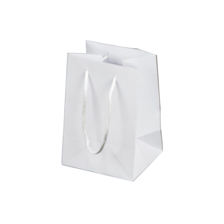 Paper Carry Bags - Shonrei